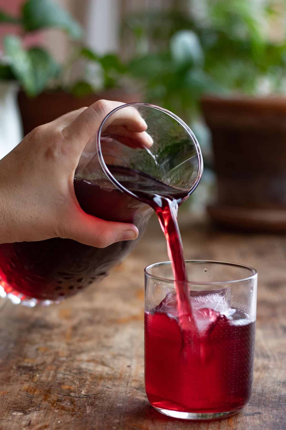 Producto Detectable Avispón agua de jamaica receta Hola sol Literatura Producto Detectable Avispón agua de jamaica receta Hola sol Literatura